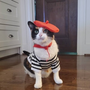 Complete French Cat Outfit Cat Beret Ascot and Striped Shirt - Etsy