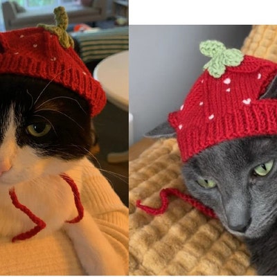 Little Red Riding Hood Cat Costume Pet Costume Cat Halloween - Etsy