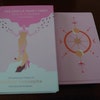 The Wild Muse Oracle Deck & Guidebook indie Oracle Deck vanessa ...