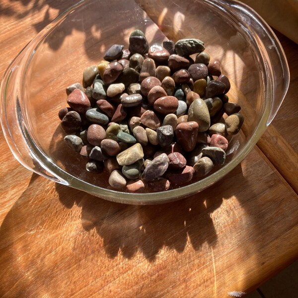Mexican Beach Pebbles Mix. River Rock Aquarium Substrate Great for Fish ...
