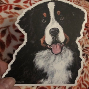 Sable Tri Color Blue Merle Shelties christmas - Etsy