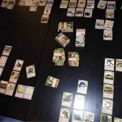 Ecologies: Bizarre Biomes Gameplay Inspired by Nature Sequel and ...