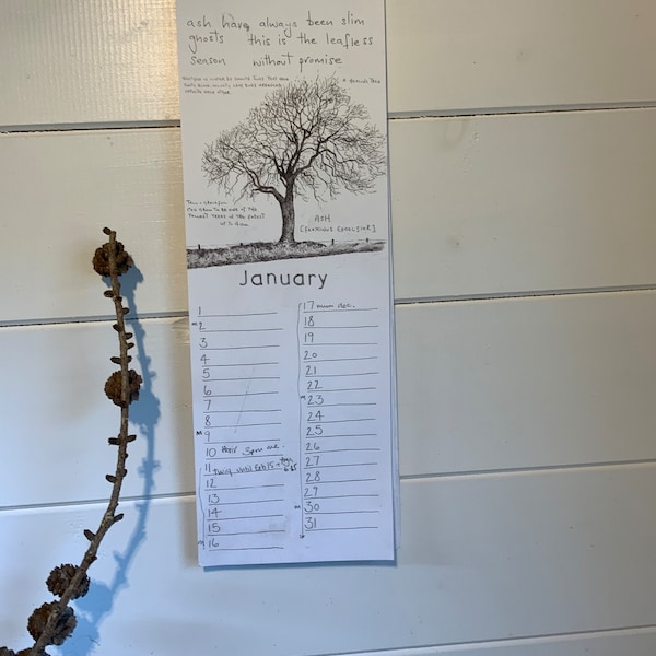 Field Notes Perpetual Calendar for Birthdays, Anniversaries and ...