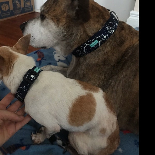 Connect the Stars - Dog Collar / Glow in the Dark Constellation Design ...