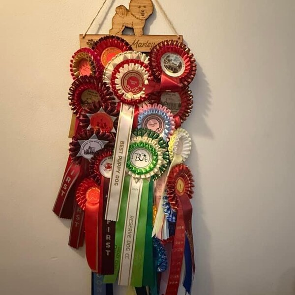 Girls Women's Oak Veneer Football Medal Holder - Etsy