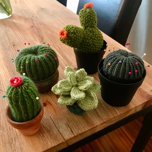 PATTERN PDF: Knitting Pattern Digital Download Succulent Plant, Home ...