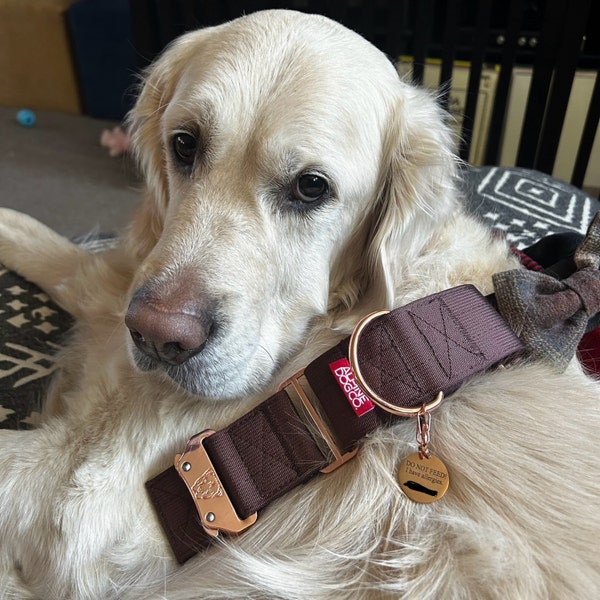 Microchip Dog Tag, Custom Dog Tag, Microchipped, Pet Tag, Dog ID Tag ...