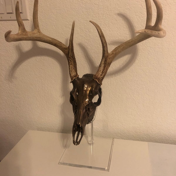 European Euro Mount Whitetail Deer Antler Display Clear Acrylic Stand ...