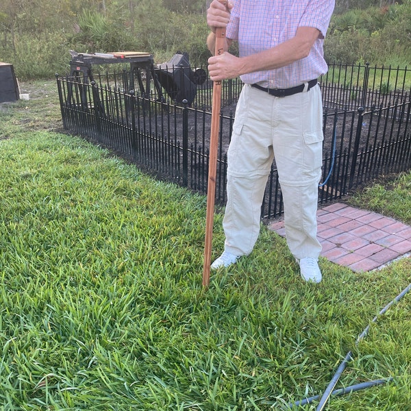 Standing Black Bear, Natural Earth Tones Poplar Wood Walking Stick ...