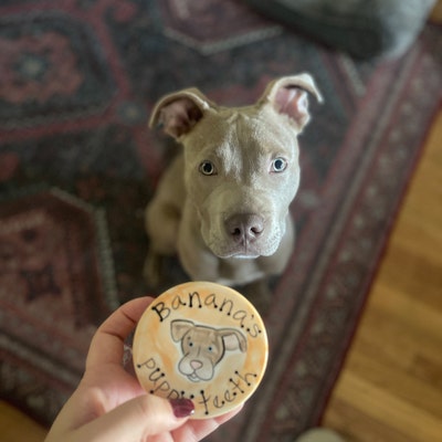 New Puppy Tooth Box / Puppy Teeth Box / Custom Pet Gift / Personalized ...