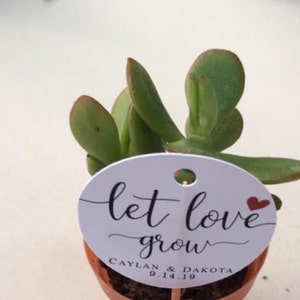 Let Love Grow, Plant Tag, Wedding Tag, Favor, Bridal Shower, Baby ...