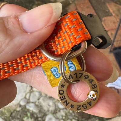 Agility and Working Dog Slip on ID Collar Tag. Stainless Steel FREE ...