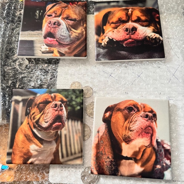 Photo Coasters for Dog Owners, Perfect Gift for Pet Lovers, Images ...