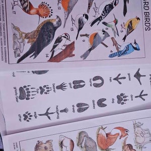 Nature Play Doh Mats Visual Cards, Fine Motor Skills Activity Printable ...