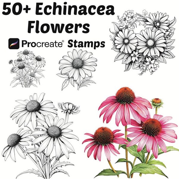 Procreate Clematis Flower Stamps 50 Clematis Flower Procreate Brushes Botanical Procreate Floral ...