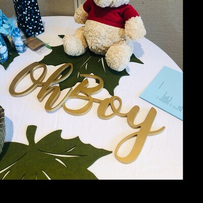 Oh Boy Oh Girl Signs Baby Shower Decorations. Baby Shower Backdrop ...