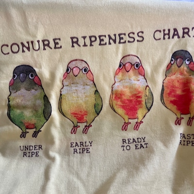 Conure Ripeness Chart T-shirt - Etsy