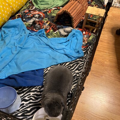 8 Brackets custom Package for Wire Metal Pet Exercise Playpen Dog Puppy ...