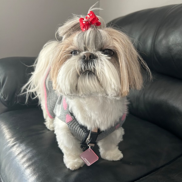 Frosted Dog Tag, Personalized Dog Tag, Dog Id Tag, Cat Name Tag, Pet ...