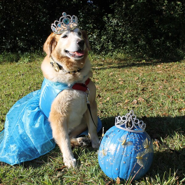 Cinderella Dog Dress 2015 - Etsy