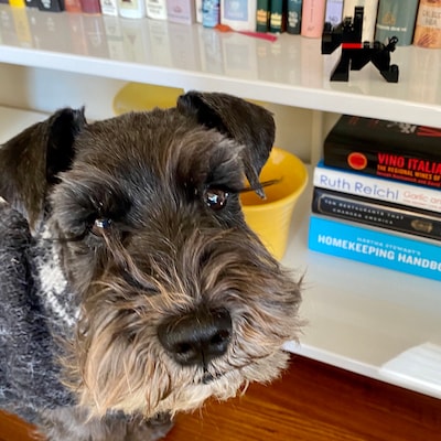 Customisable Lego Miniature Schnauzer - Etsy