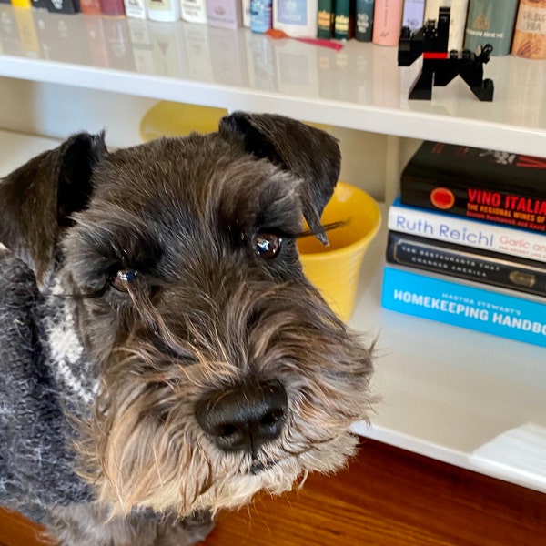 Customisable Lego Miniature Schnauzer - Etsy