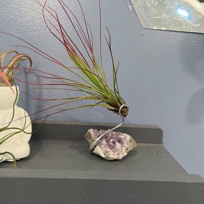 Unique Moss Wall Art Moss Wall Art Framed Black 36 X - Etsy