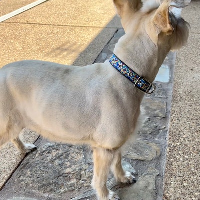 Dog Collar Tractor Dog Collar Farm Dog Collar 1 Metal - Etsy