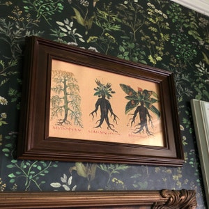 47 VUAL Demon Seal Pendant Goetia Sigil Necklace Lemegeton - Etsy