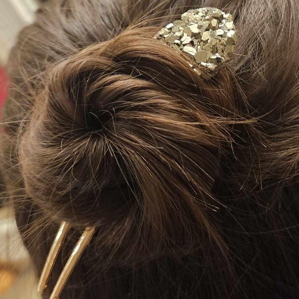 Insect Hair Pins, Insect Jewelry, Cockroach Hair Pins, Fly Hair Pins ...
