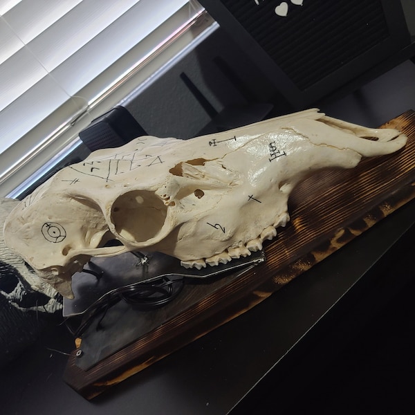 Hand Forged Iron Crown - Etsy