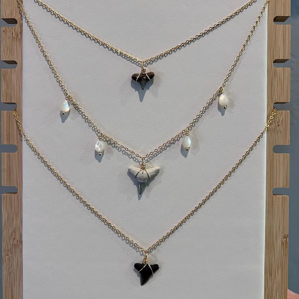 35 Fossil Shark Teeth - Bag of 35 Complete Fossil Shark Teeth - 35 ...