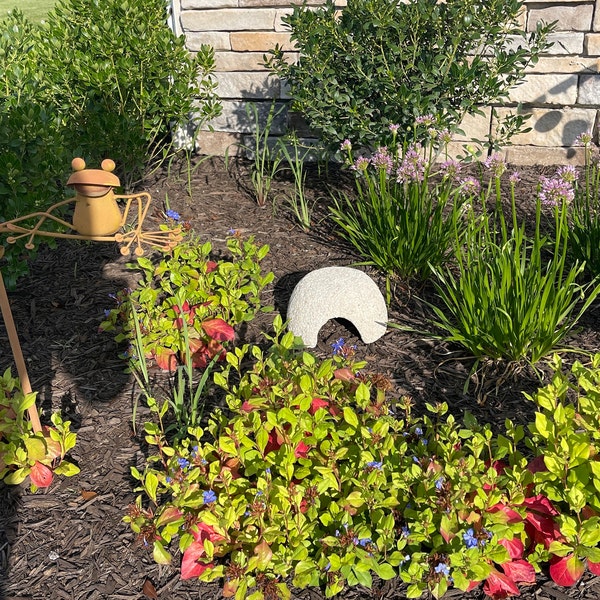 Hypertufa Toad House, Toad Abode, Frog Home, Handmade Outdoor Decor ...