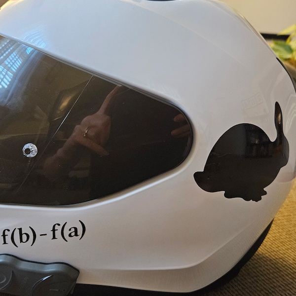 Physics Equation Decal Stickers | Laptop Decals | Nerdy Physics ...
