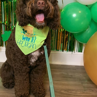 Go Team Tie on Dog Bandana in Your Team's Colors - Etsy