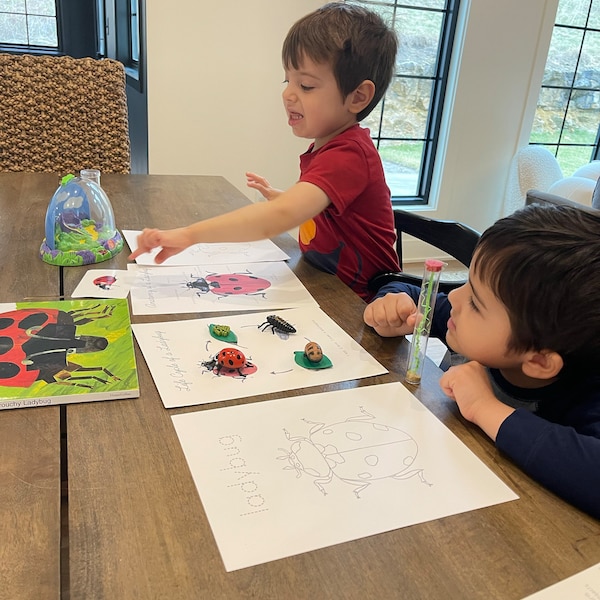 Ladybug Mini Nature Study - Etsy