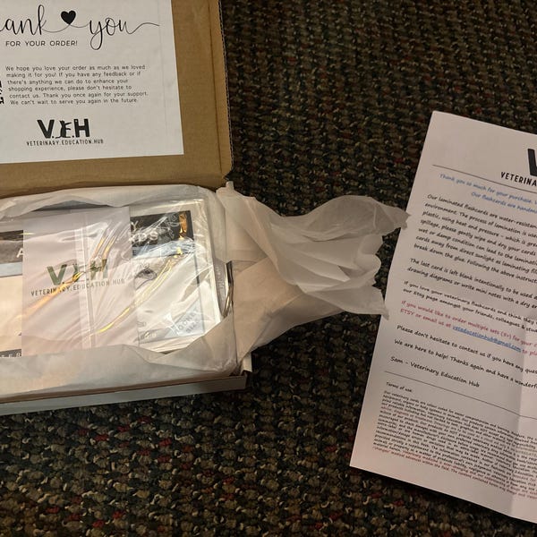 Set of 4 Veterinary Flashcards Bundle, Veterinary Pocket Book ...