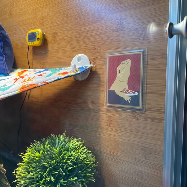 Bearded Dragon Eating Pizza Tank Decor - Slice of Pizza - Bearded ...