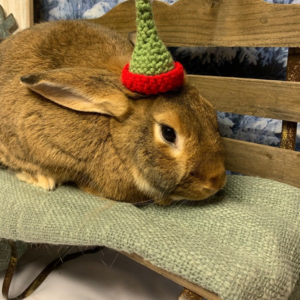 Crochet Elf Hat for Small Pets: Handmade Guinea Pig, Hamster, Cat ...