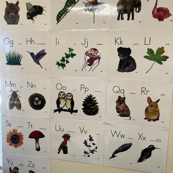 Nature Alphabet Posters | Preschool | School Notice Board | Alphabet ...