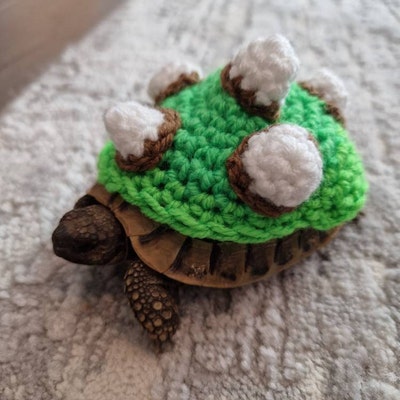 Dinosaur Tortoise Sweater Cozy, Tortoise Turtle Outfit - Etsy