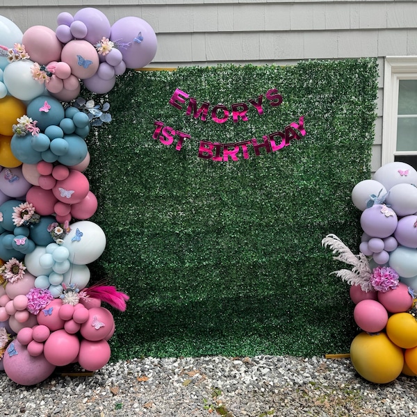 Peter Rabbit DIY Double Stuffed Balloon Arch Garland Kit Custom High ...