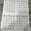 Editable Bingo Pattern Program Flyer, Easily Create Your Own 6 Game Patterns Using My Editable ...