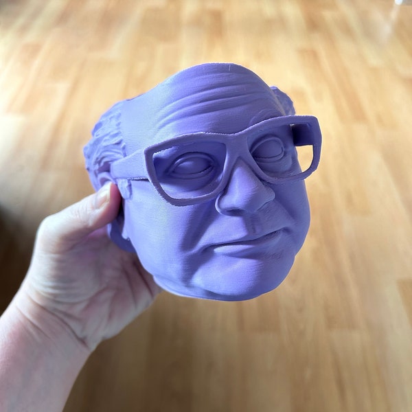 The Original Danny Devito Frank Reynolds Head Planter for House Plants ...