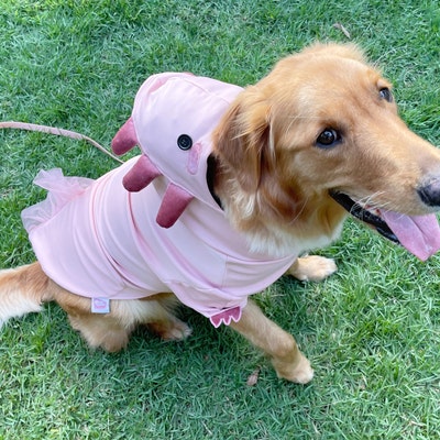 Pink Cotton Axolotl Salamander Face Mask - Etsy