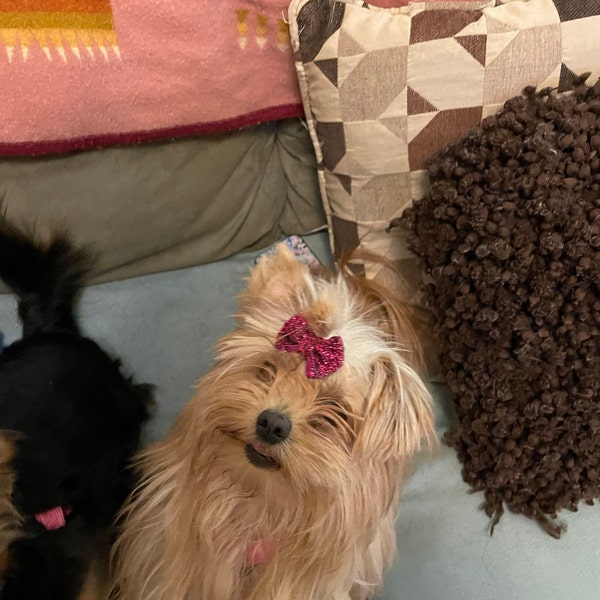 ThePoochPatch - Etsy