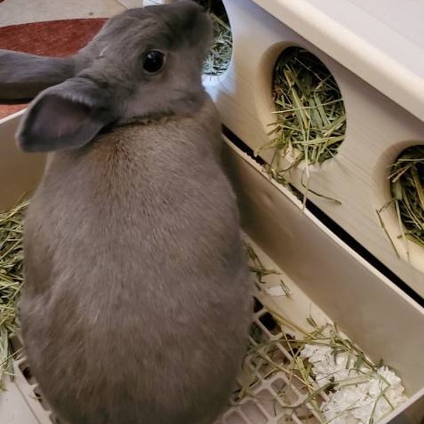 Elevated Bunny Rabbit Hay Feeder - Etsy