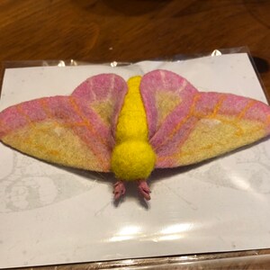 Needle Felted, Felt Brooch, Moth, Peach Blossom, Insect Brooches, Felt ...