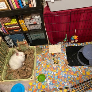 Cardboard Craft Tubes Choose Your Amount Thick Sturdy - Etsy