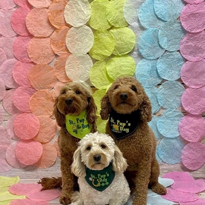 Go Team Tie on Dog Bandana in Your Team's Colors - Etsy